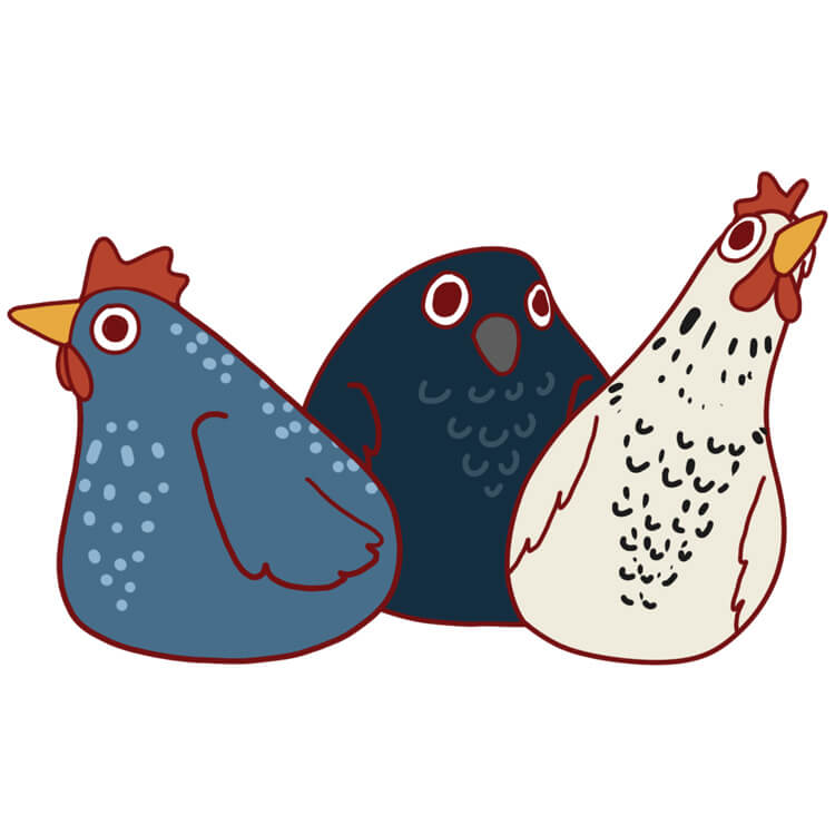 MM Concrete | Concrete Birds